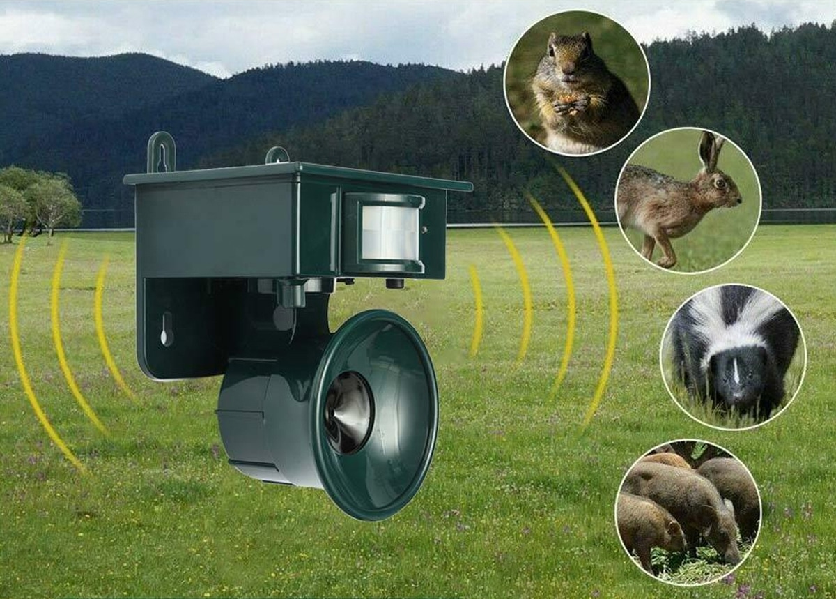 RepilBird Ultrasonic Bird Repeller | Get 50% Off